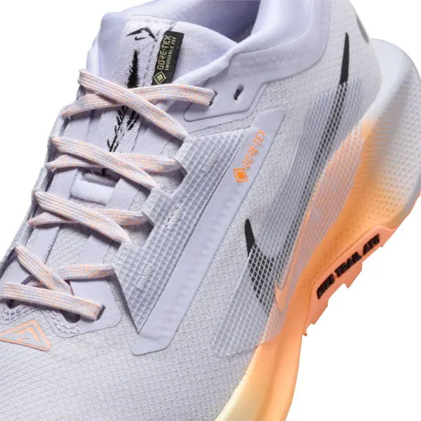 Nike Pegasus Trail Gore-tex Waterproof Trail Running Shoes