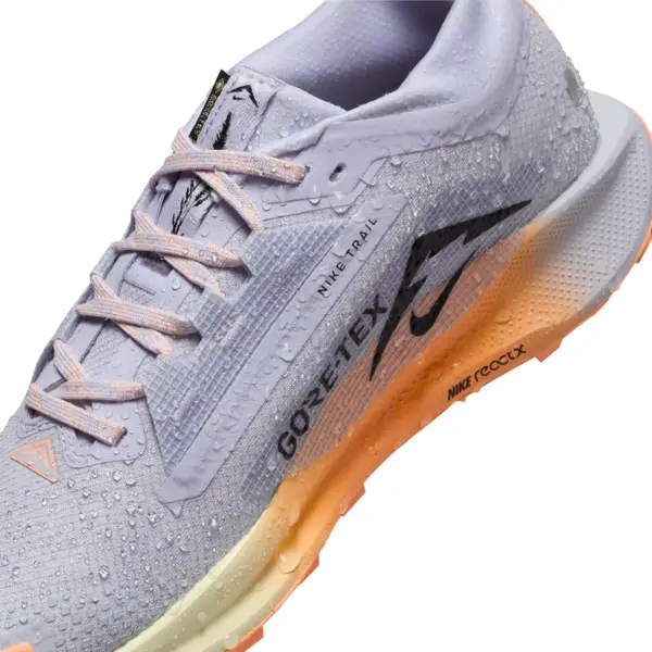 Nike Pegasus Trail Gore-tex Waterproof Trail Running Shoes