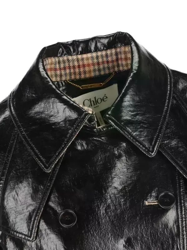 Chloé Buttoned Coat