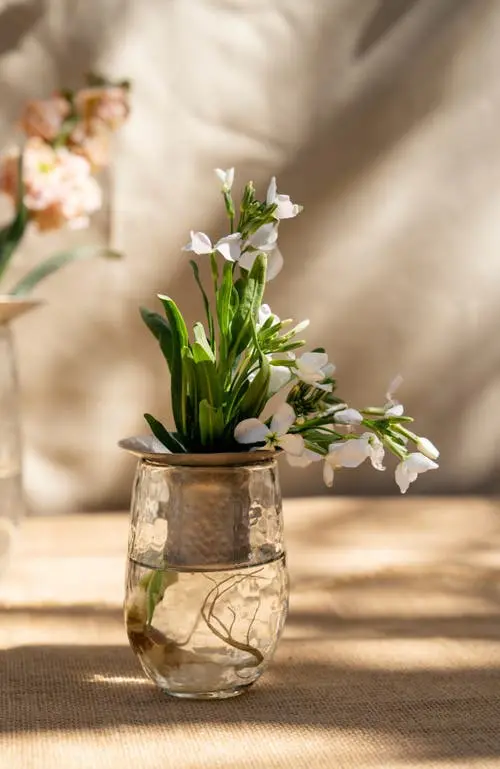 THE COLLECTIVE HOME Floral Bloom Assortedset Of 2