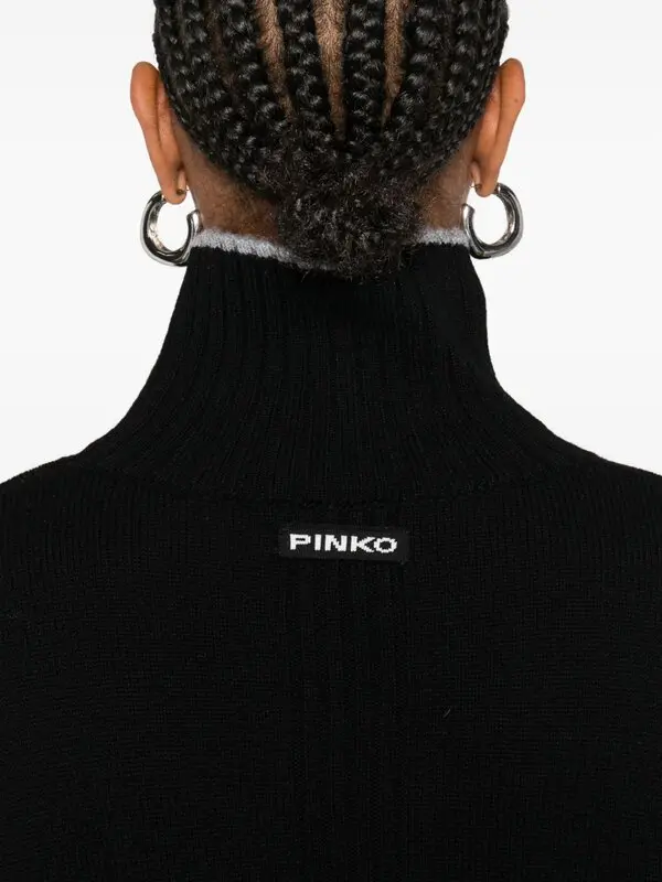 Pinko Sweater