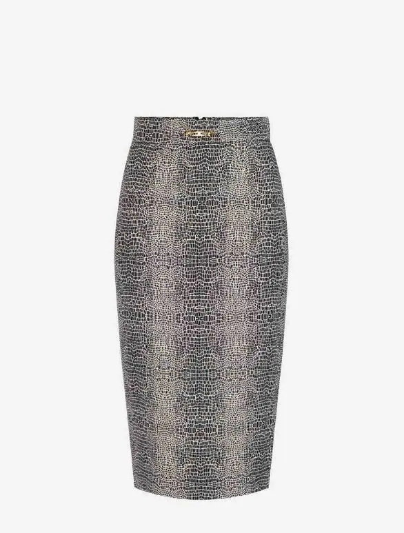 Elisabetta Franchi Printed Skirt