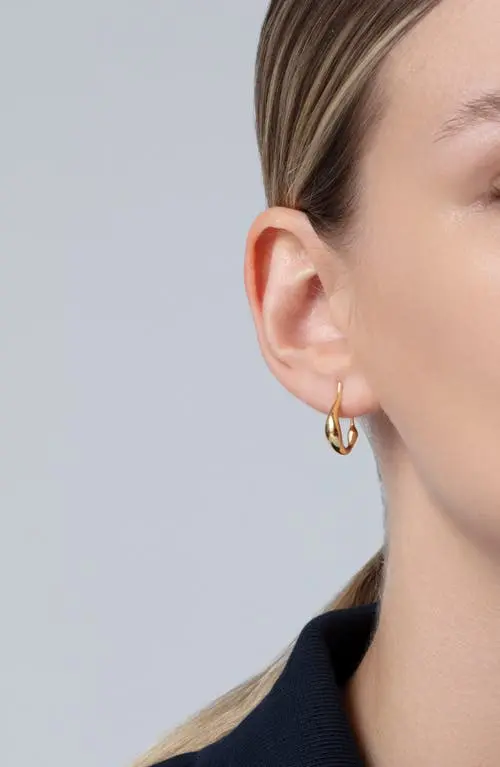Jenny Bird Mini Collette Hoop Earrings - High Polish Gold