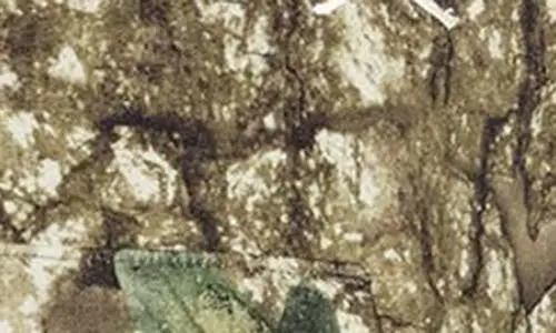 JORDAN Realtree® Camo Crop Brooklyn Fleece Hoodie - Sail/sail