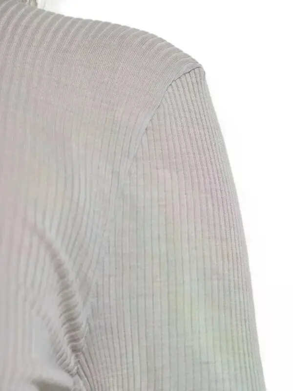 Hanro Ribbed Roll-neck Top