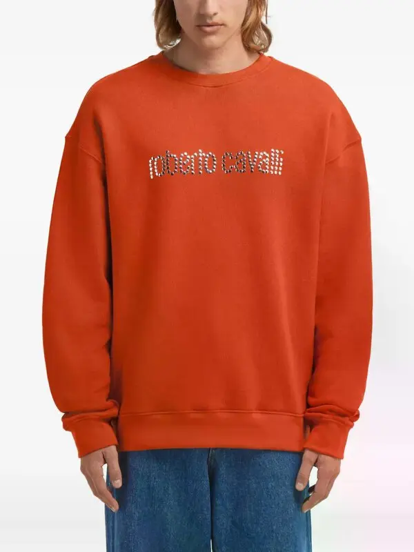 Roberto Cavalli Logo-lettering Sweatshirt