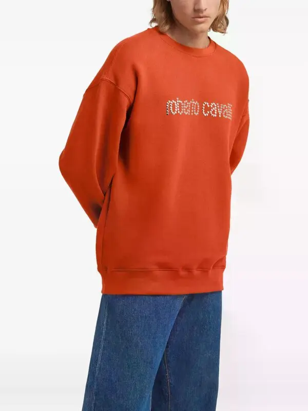 Roberto Cavalli Logo-lettering Sweatshirt