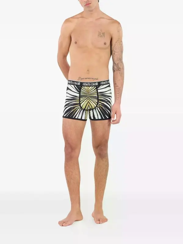 Roberto Cavalli Print Boxers