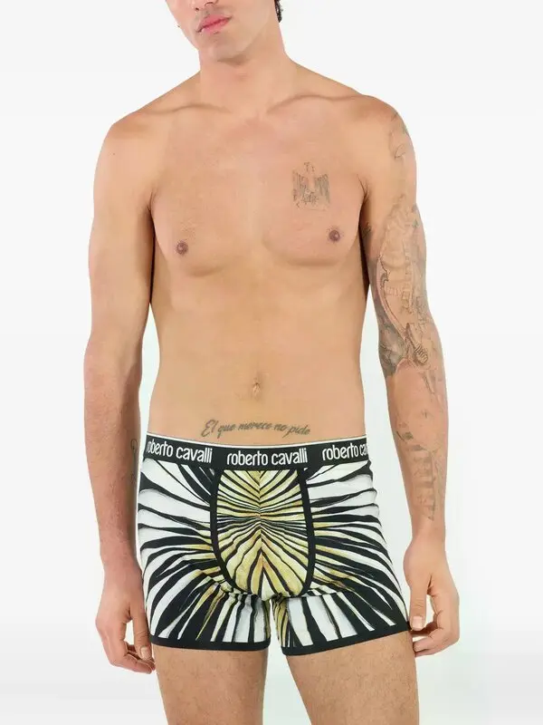 Roberto Cavalli Print Boxers