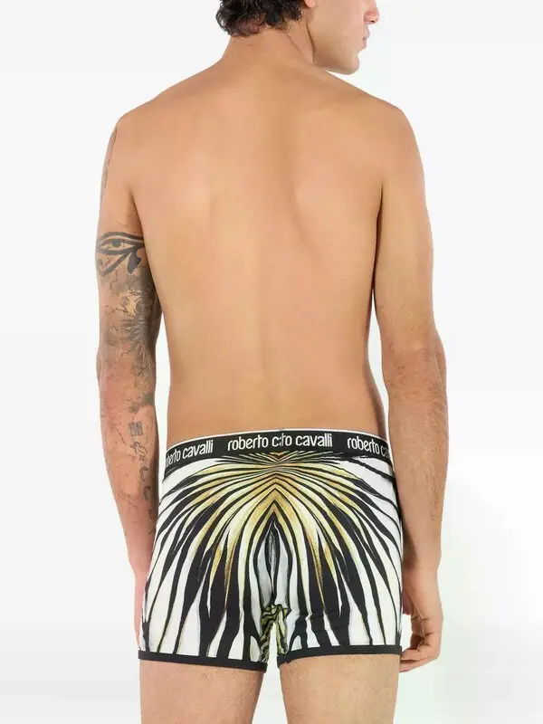 Roberto Cavalli Print Boxers