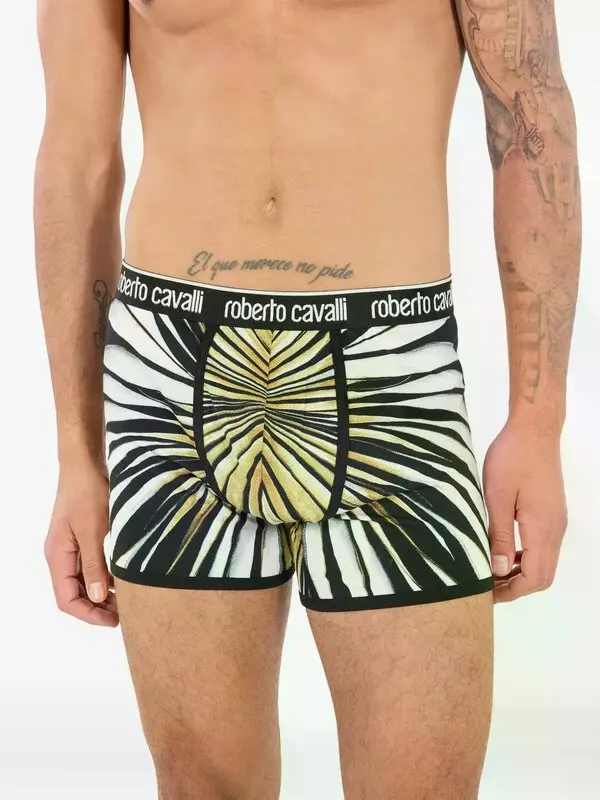 Roberto Cavalli Print Boxers