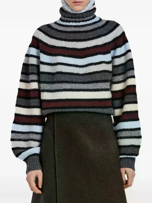 Proenza Schouler Danea Striped Roll-neck Sweater