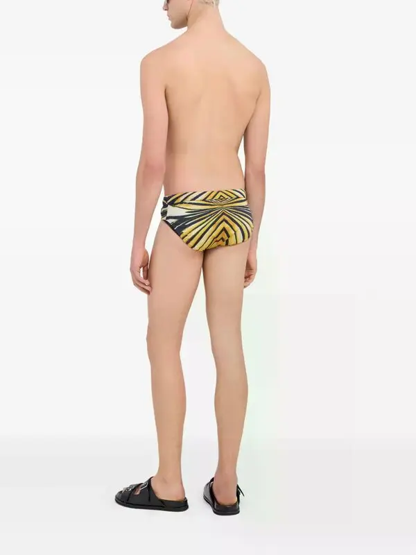 Roberto Cavalli Print Sea Swim Trunks