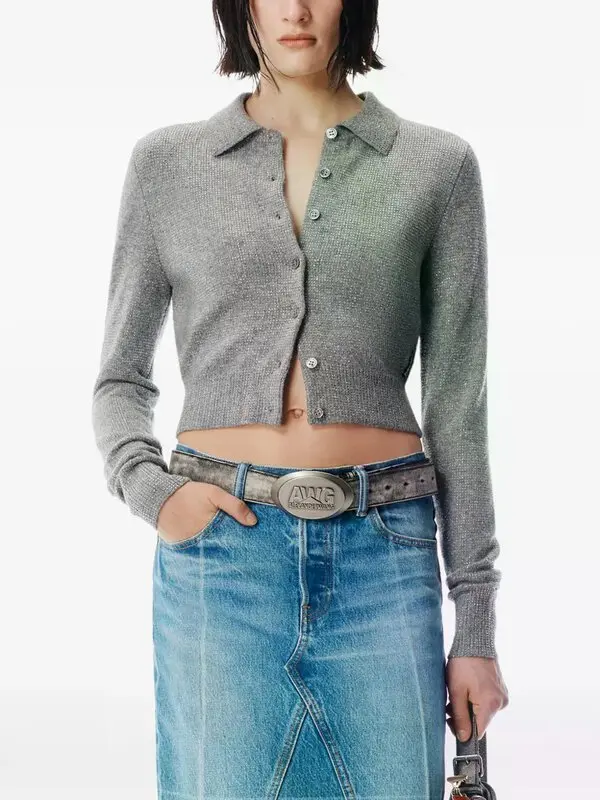 Alexander Wang Buttoned Cardigan - Grey