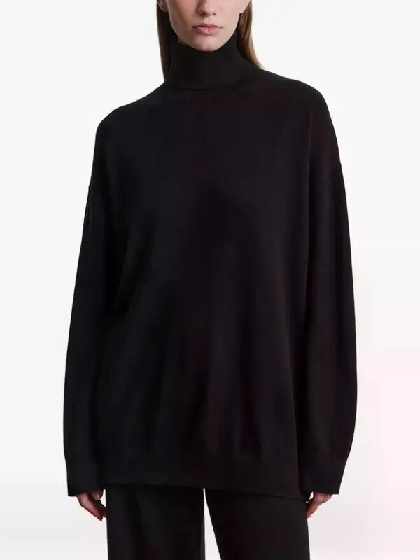 12 STOREEZ Knitted Turtleneck Sweater