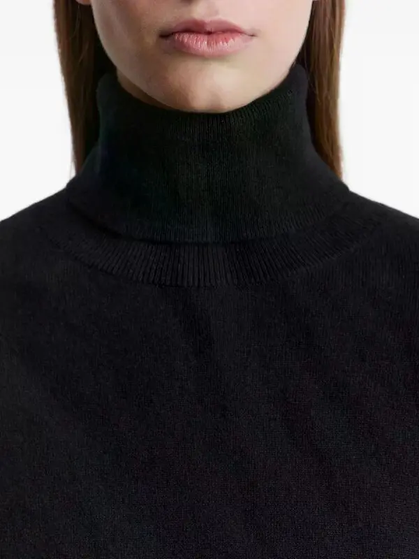 12 STOREEZ Knitted Turtleneck Sweater