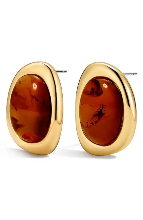 LUV AJ Amber Honey Resin Stud Earrings - Gold