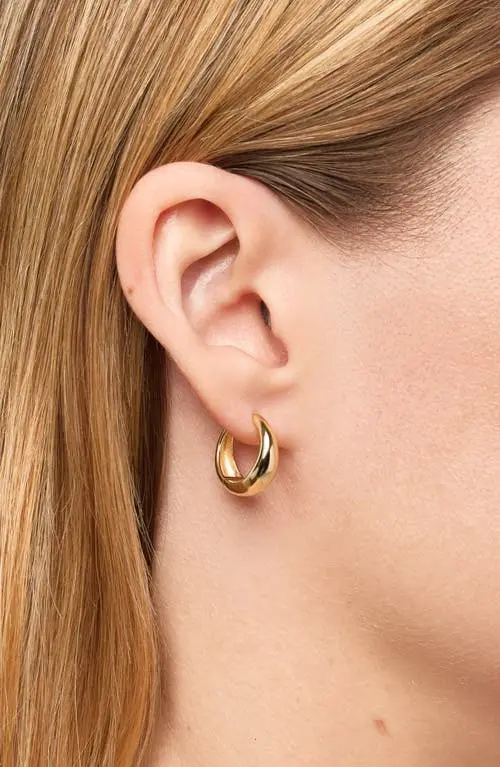 ANA LUISA Nate Teardrop Hoop Earrings