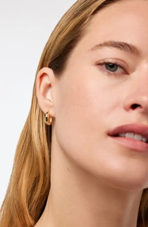 ANA LUISA Nate Teardrop Hoop Earrings