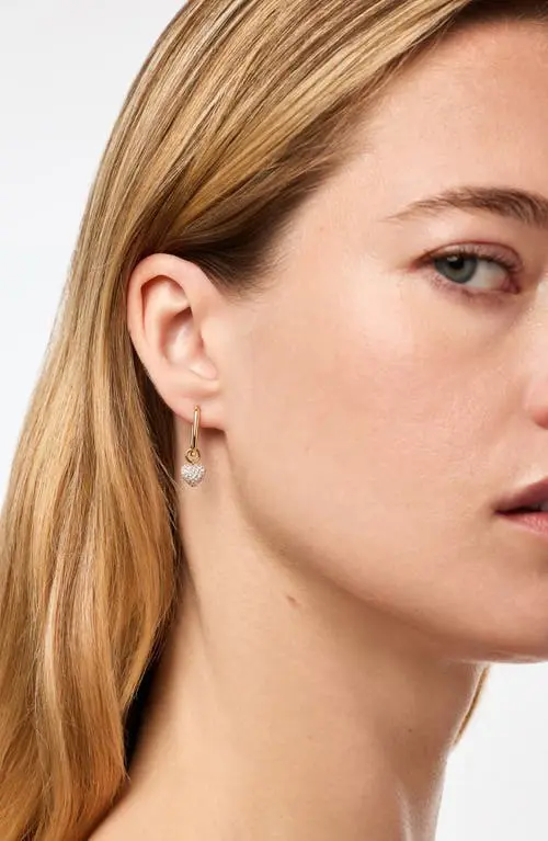 ANA LUISA Ellery Hoop Earrings