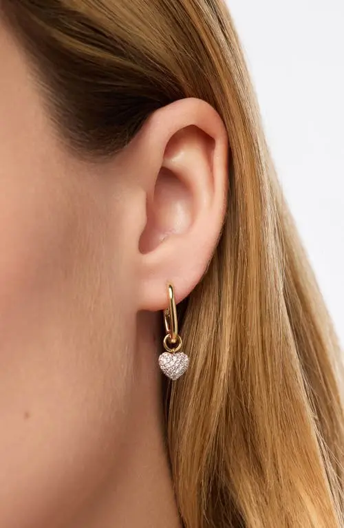 ANA LUISA Ellery Hoop Earrings