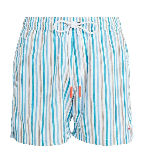 Isaia Stripe Print Swim Shorts
