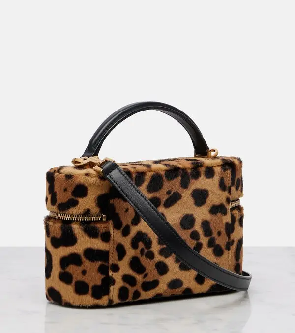Saint Laurent Gaby Leopard-print Calf Hair Vanity Bag - Brown