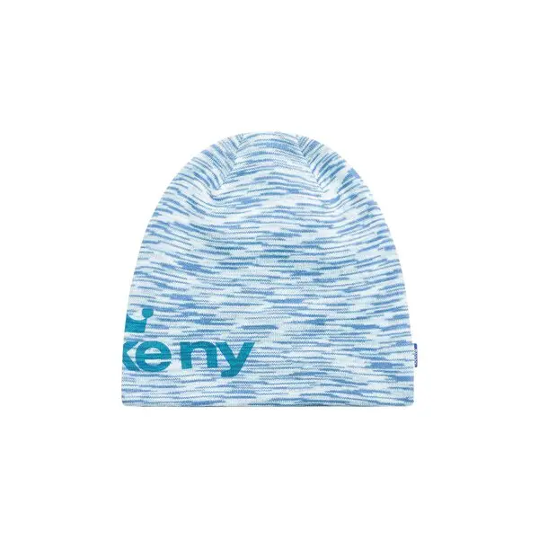AWAKE NY Gradient Crown Logo Skully - Blue