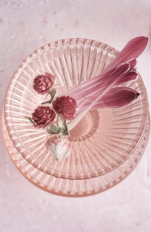 THE COLLECTIVE HOME Pressed Pink Martini Glassesset Of 4