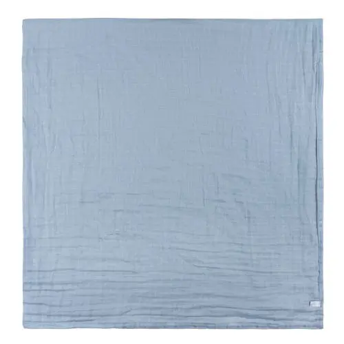 JUST BORN Muslin Swaddle Blue Blankets 2-pack
