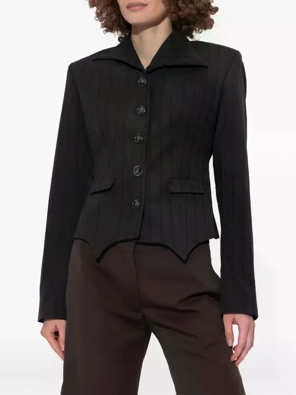AVAVAV Pinstripe Jacket