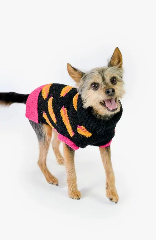 THE FURRYFOLKS Hot Doggie Turtleneck Pet Sweater