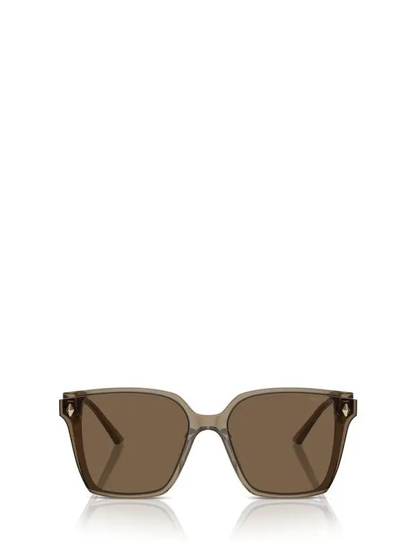 JIMMY CHOO Squarish Sunglasses - Brown