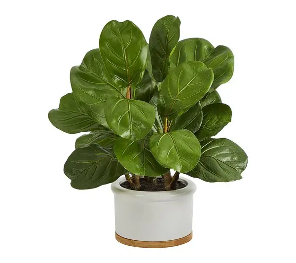 NEARLY NATURAL 15' Fiddle Leaf Artificial Tree N Planter - One-color