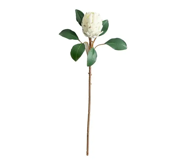 NEARLY NATURAL 26' Artificial King Protea Stem Et Of 4 - One-color