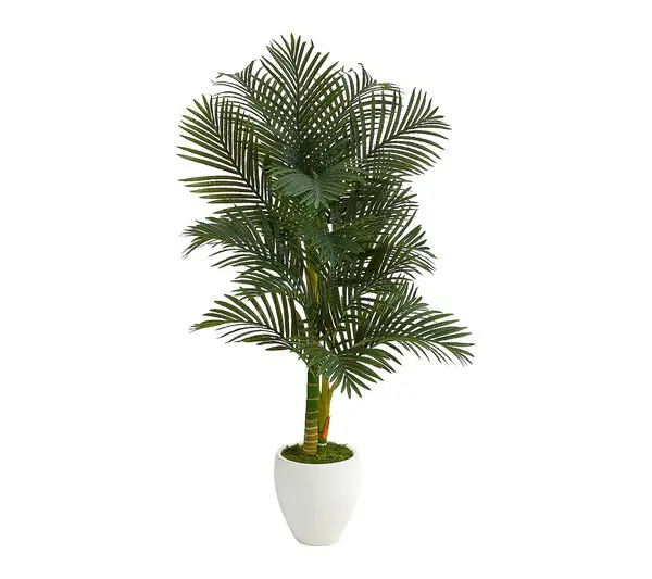 NEARLY NATURAL 5' Paradise Palm Artificial Tree - One-color