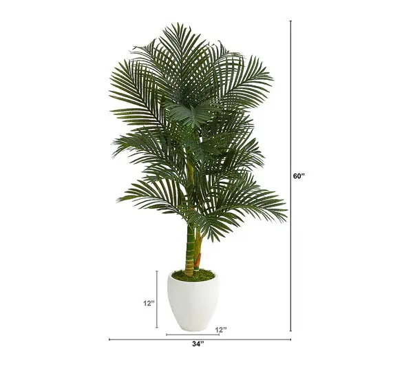 NEARLY NATURAL 5' Paradise Palm Artificial Tree