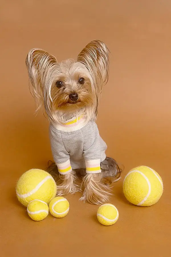 MODERNBEAST Wool Tennis Ball - Yellow
