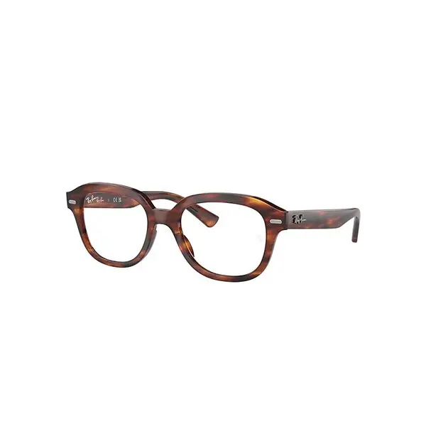 Ray-ban Erik Optics Eyeglasses - Striped Havana