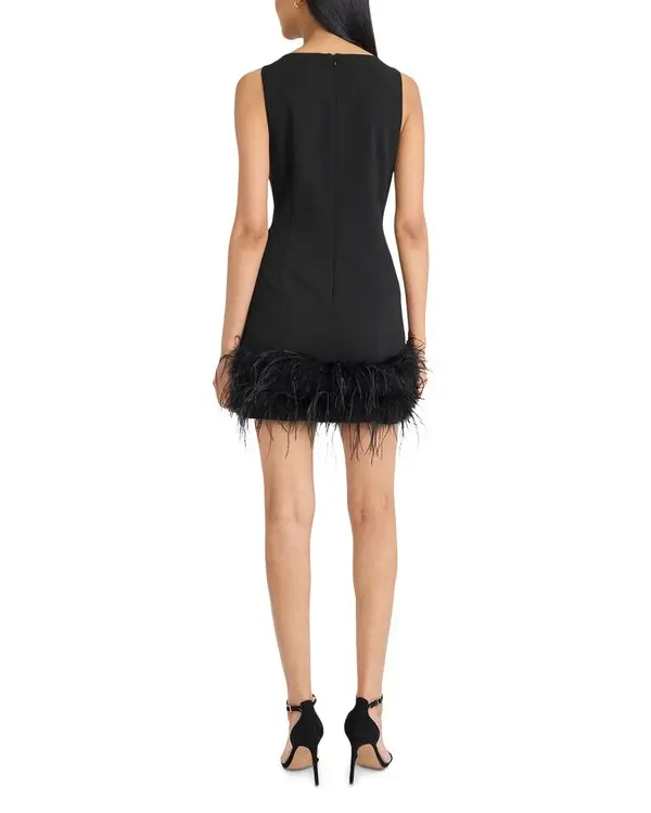 Maggy London Feather Trim Mini Dress