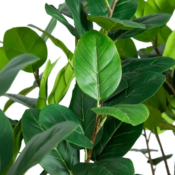 NEARLY NATURAL 6' Artificial Audrey Ficus Leaf Tree