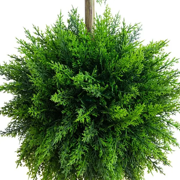 NEARLY NATURAL 3.5' Uv Resistant Artificial Cedar Double Ball Topiary Tree In White Decorative Planter