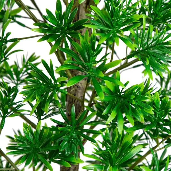 NEARLY NATURAL 6' Uv Artificial Podocarpus Tree