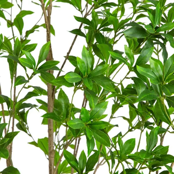 NEARLY NATURAL 8' Artificial Minimalist Japanese Pieris Tree