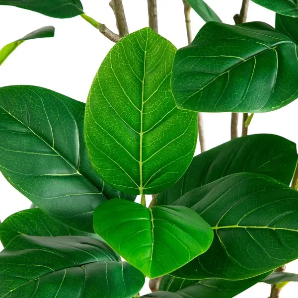 NEARLY NATURAL 7' Artificial Minimalist Audrey Ficus Tree