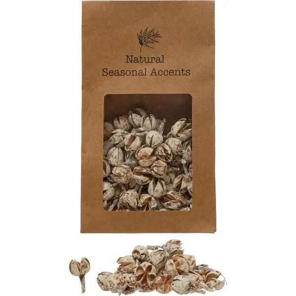 STORIED HOME 4oz Dried Pods - Natural