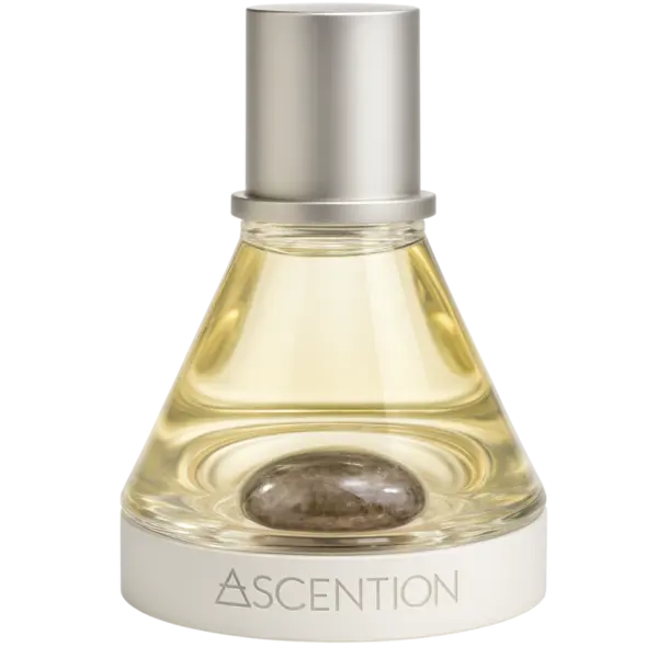 ASCENTION PARFUMS Ascent To Detox Imbued In Smoky Quartz Eau De Parfum - One-color