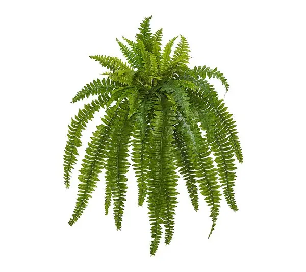 NEARLY NATURAL 35' Boston Fern Artificial Plant - One-color