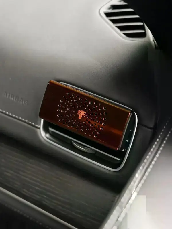 BAOBAB Perforated Car Diffuser