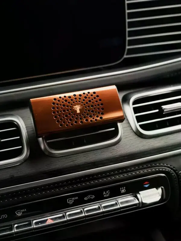 BAOBAB Perforated Car Diffuser